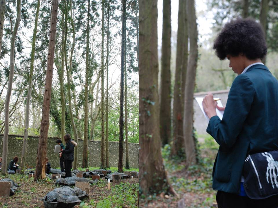 Chestnut Grove Academy Art Department Blog