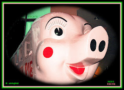 PINKPIGFLYER: The Pink Pig Monorail on Roof of Rich's Department Store