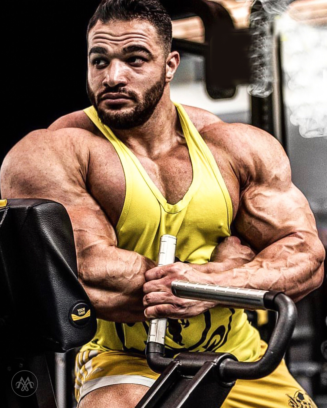 LA PERFECTION FAITE HOMME