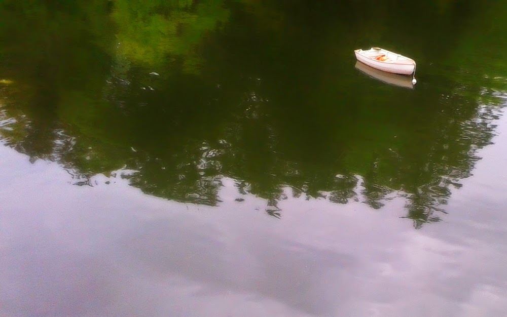 Victoria Daily Photo: Row, Row, Row, Row Your Boat Gently Down the ...