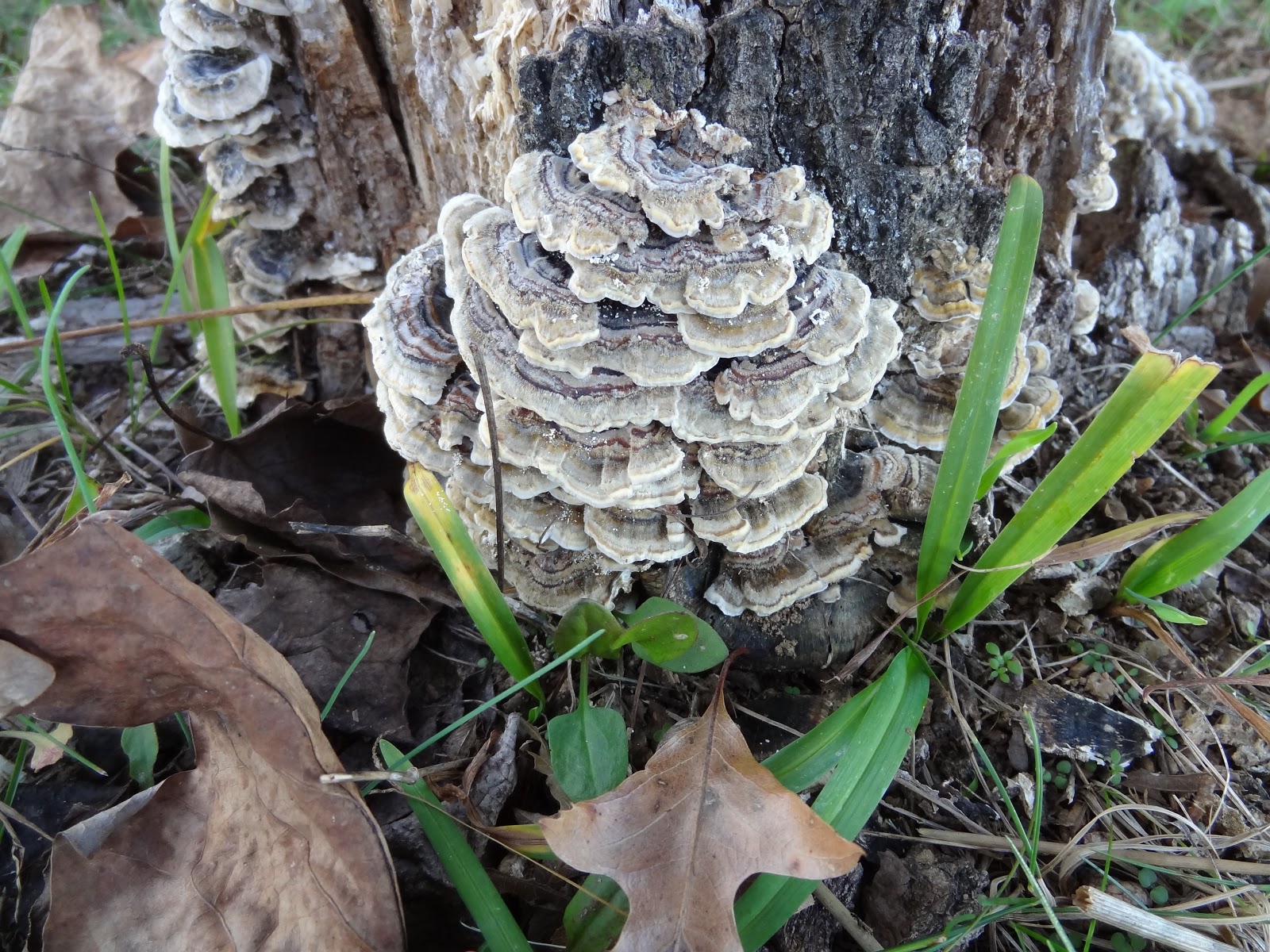 Live and Learn-Toss and Turn: 10/01/2012 - 11/01/2012