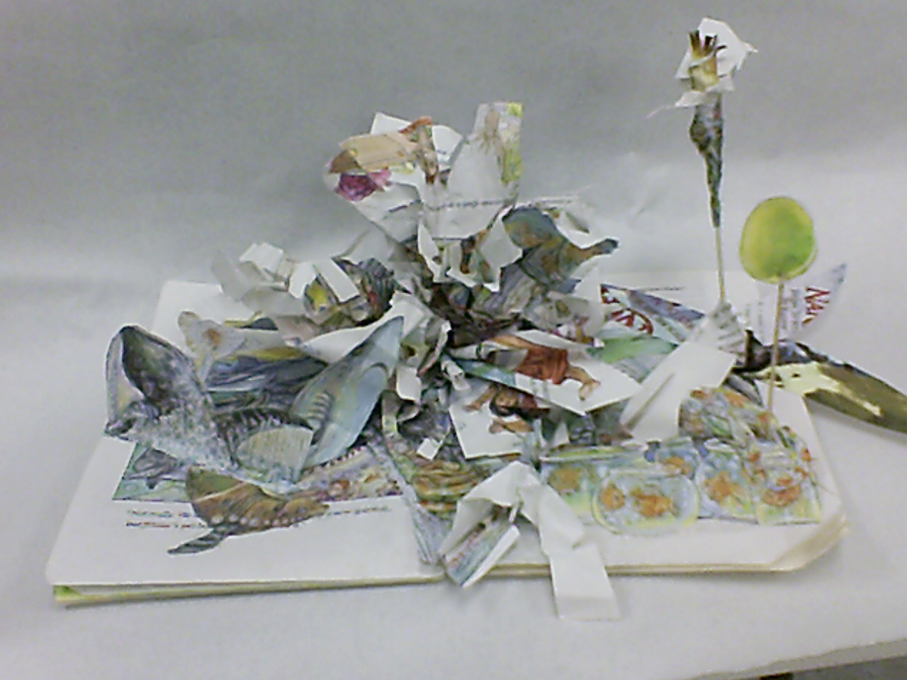 (the way cool) Donald Art Room: Deconstructed Books: 5th Grade