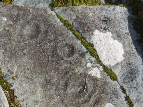 The Triskele and the Dragon: The Bohea Stone - One of Ireland's ...