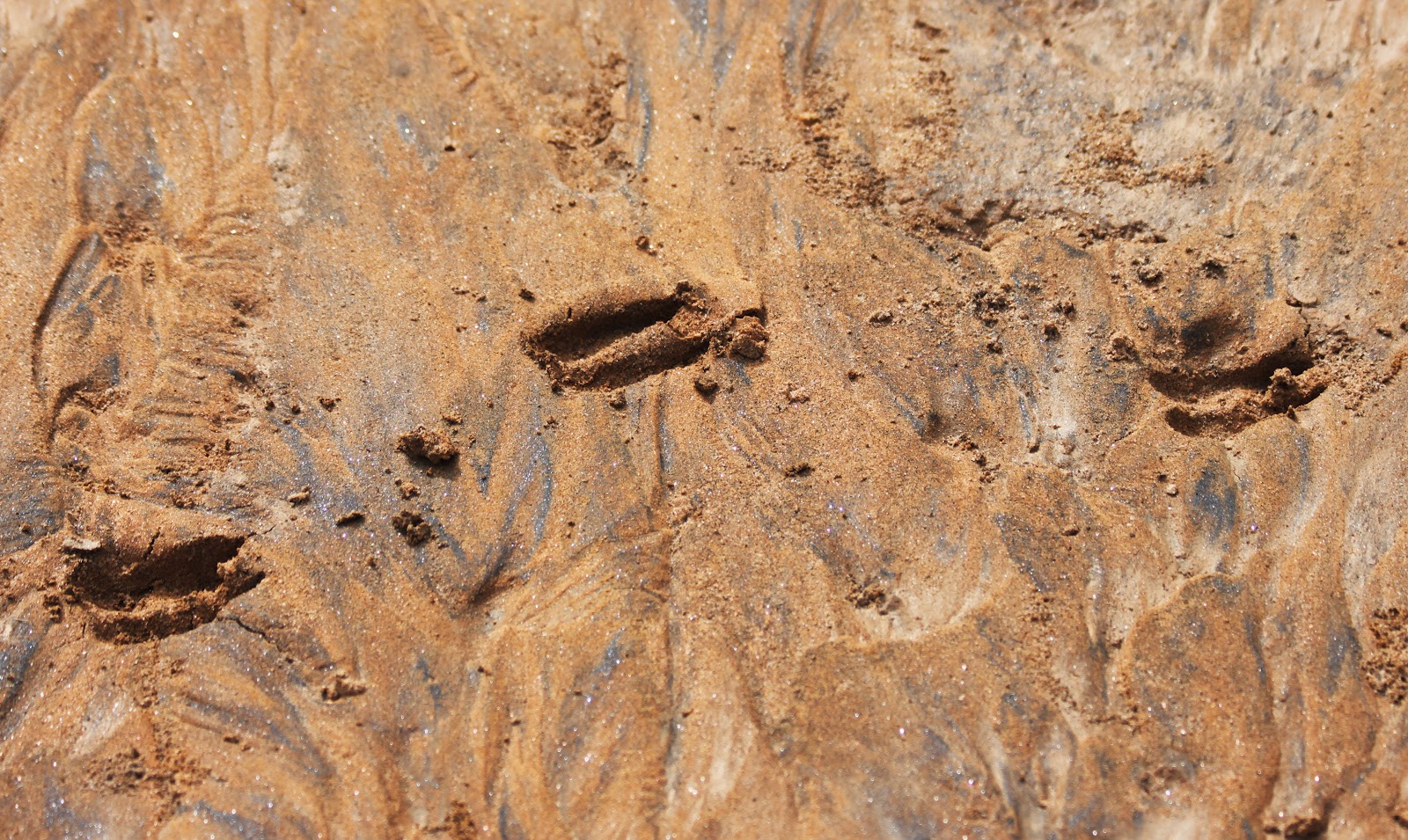 travelswithkathleen: Tracking