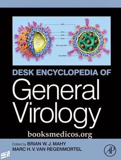 Virología | booksmedicos - Part 4