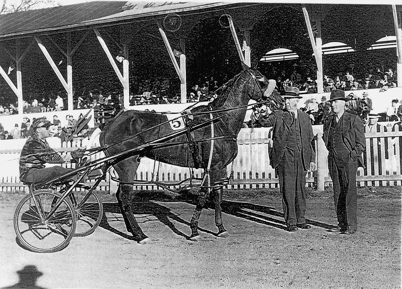 The FREDERICTON SCENE: The History of Fredericton Raceway - The Ghost ...