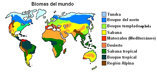 CIENCIAS "AMOR DE DIOS": BIOMAS