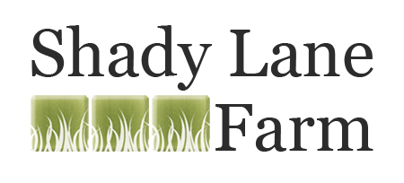 Living Well: A Women's Wellness Encounter