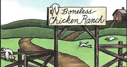 A Dixie Lady Deer Hunter: Boneless Chicken Ranch