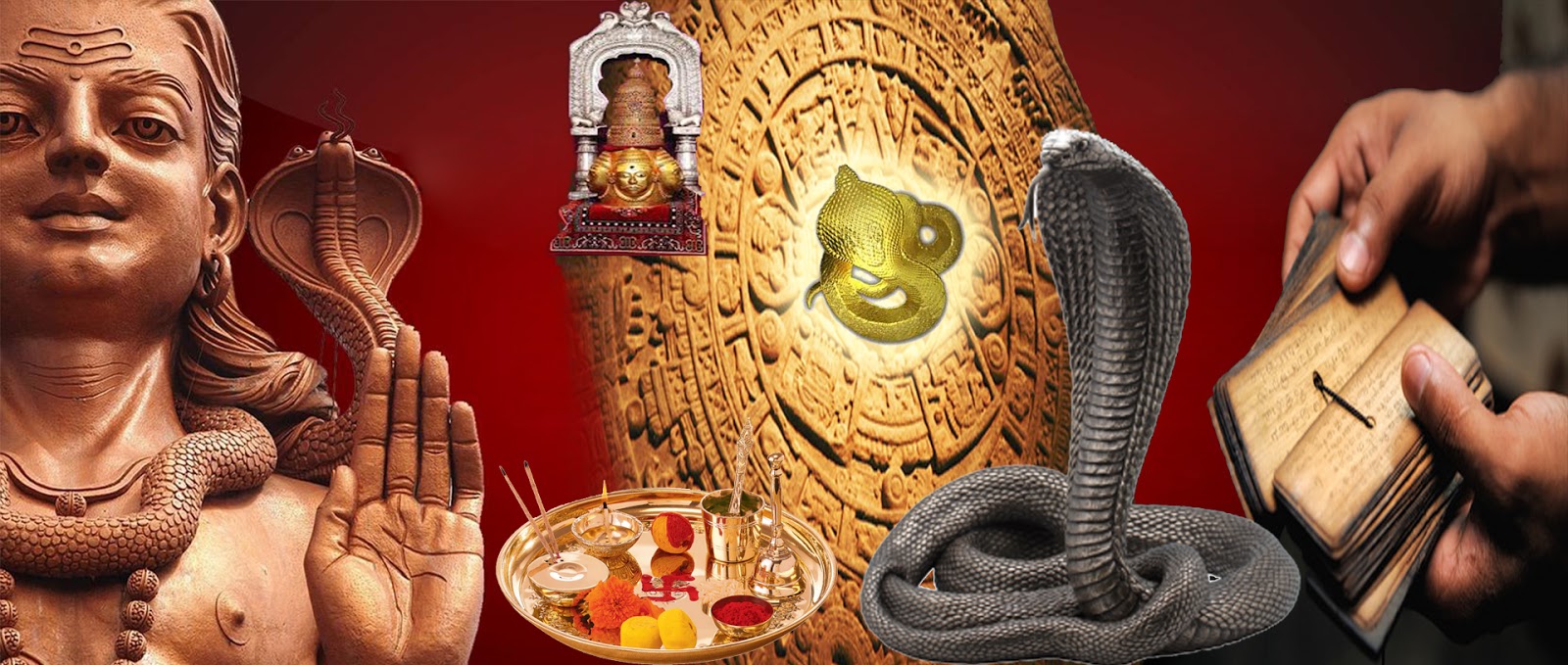 Pitru Dosh Niwaran Puja