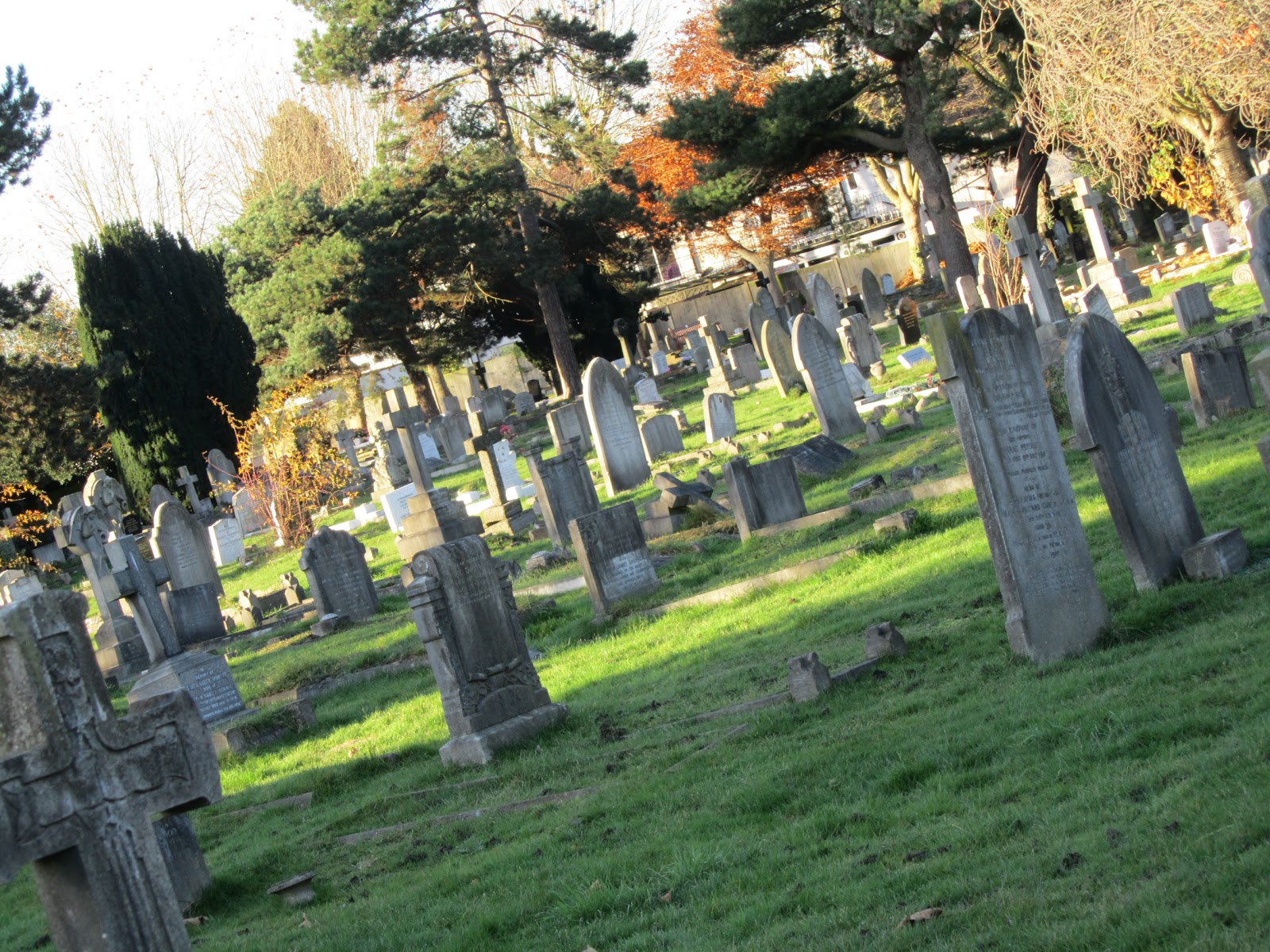 M.E.S.S. Media: Photos of A Graveyard (Location)