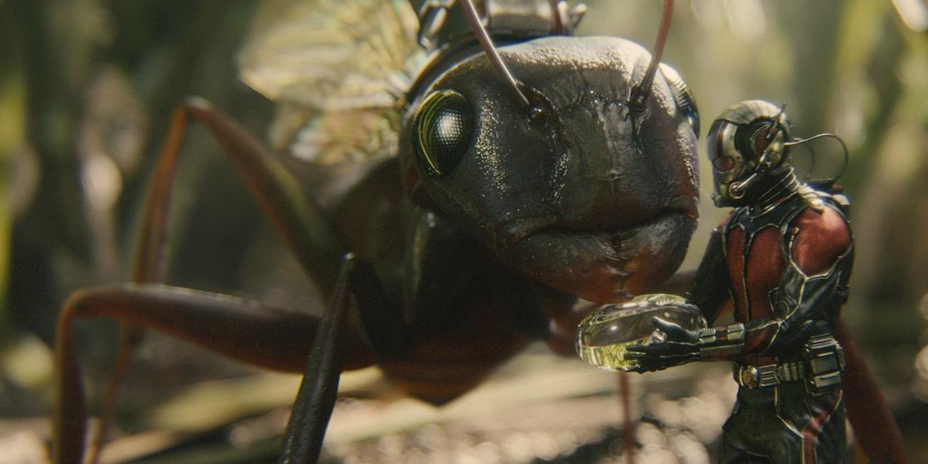 YJL's movie reviews: Movie Review: Ant-Man