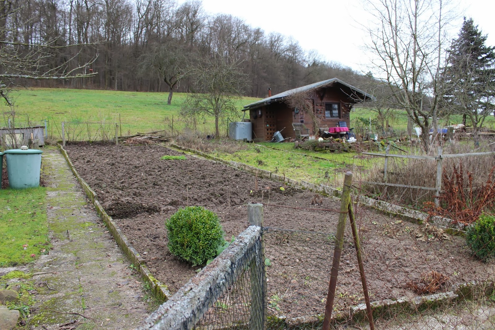 Gartensommer: Schrebergarten