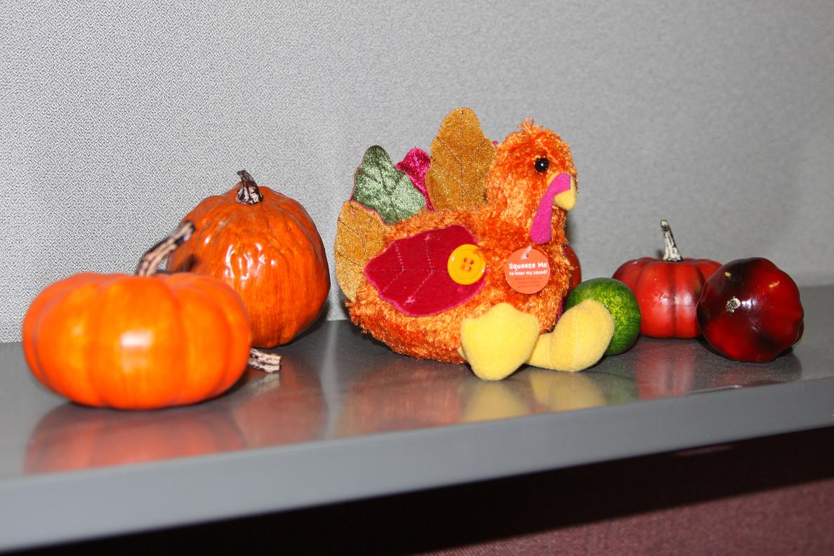 Michigan Exposures: Office Thanksgiving Decorations