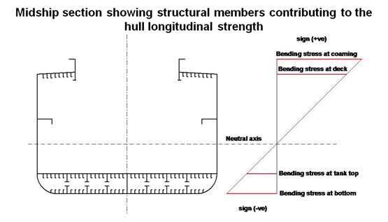 Marine Survey Practice: What to look for?