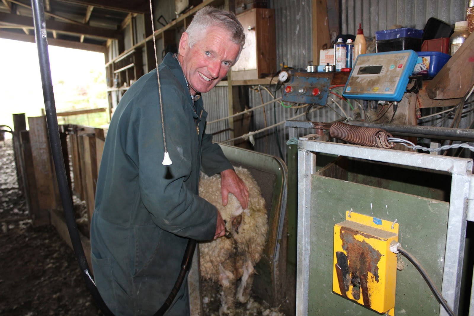 Guacamole In The Trees: Dagging and Drenching