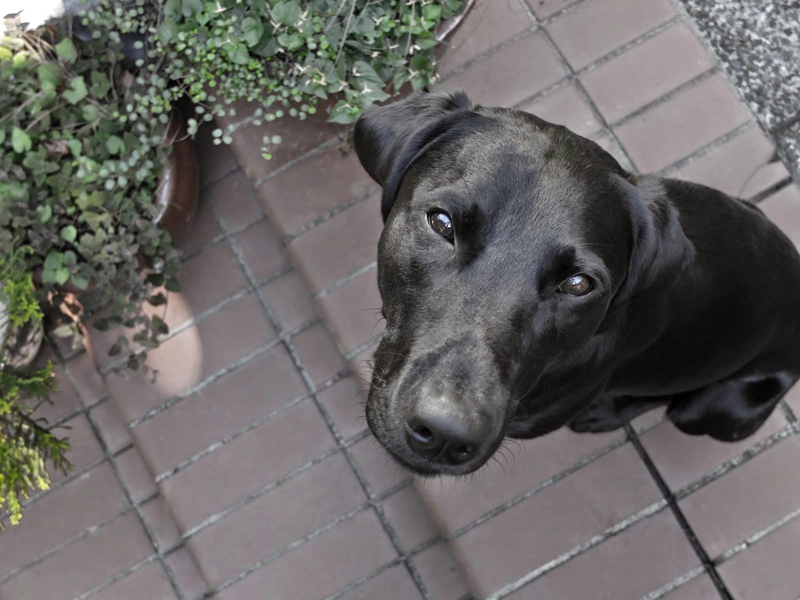 Jake Klonsky Photography: Project 2 Framing and Composition