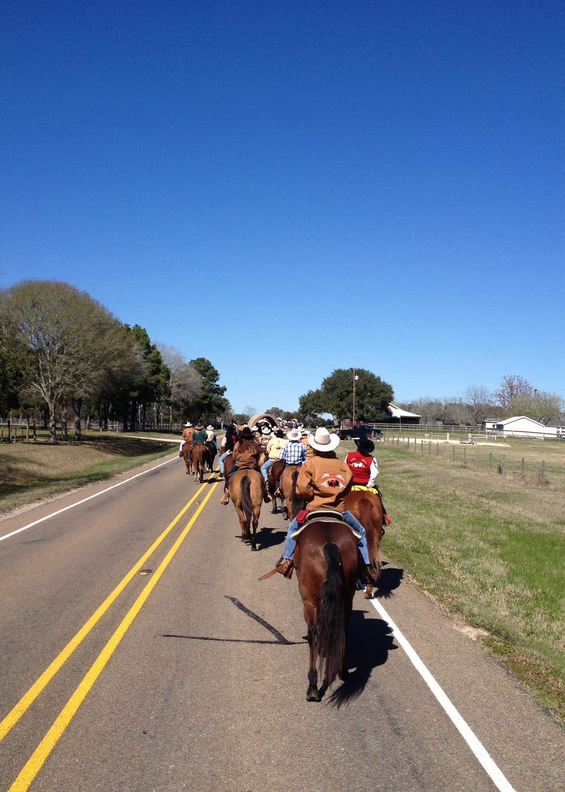Nan's Notes: The Salt Grass Trail Ride