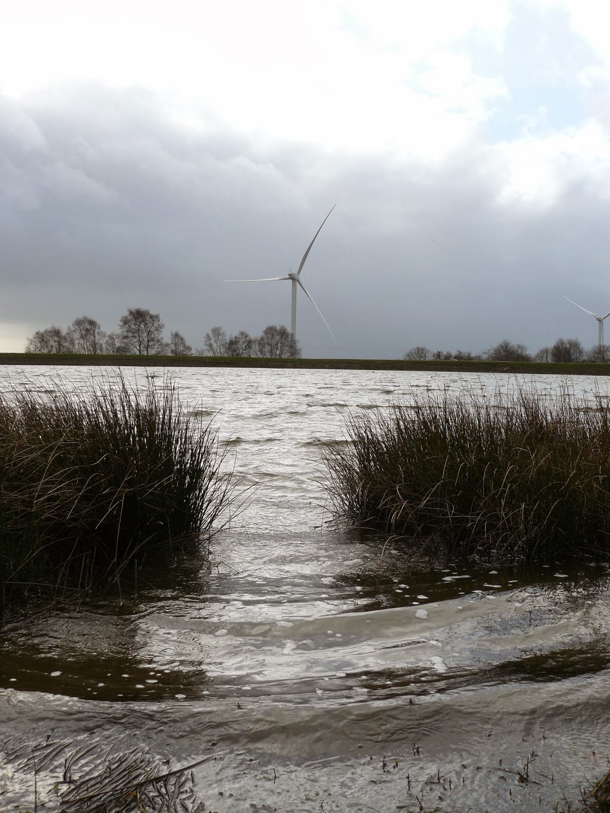 Dafad's-Days: WIND or WIND ... LESS POWER?