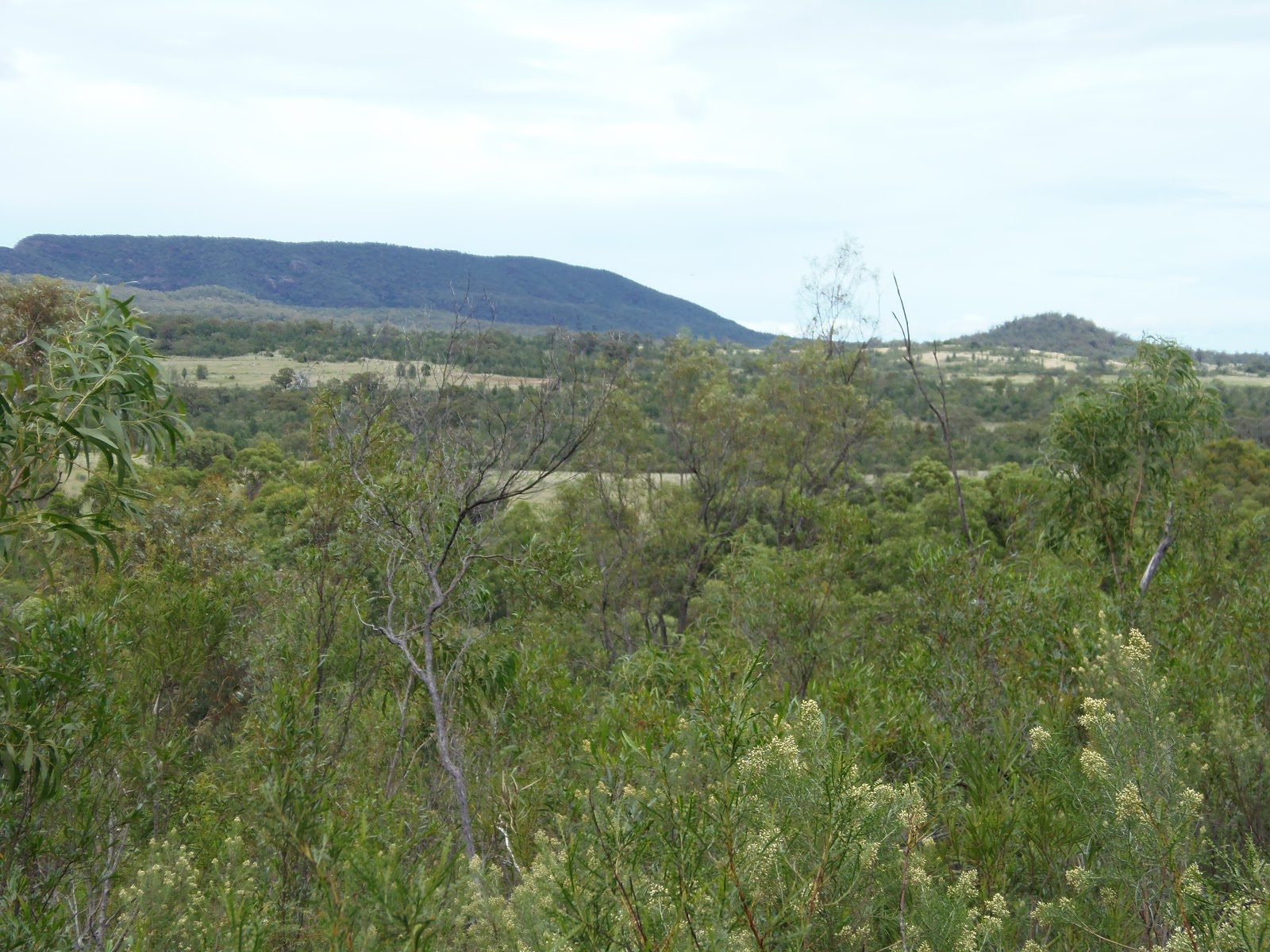 Solo Steve On The Road: THE KILLARNY GAP ROAD AND THE SAWN ROCKS