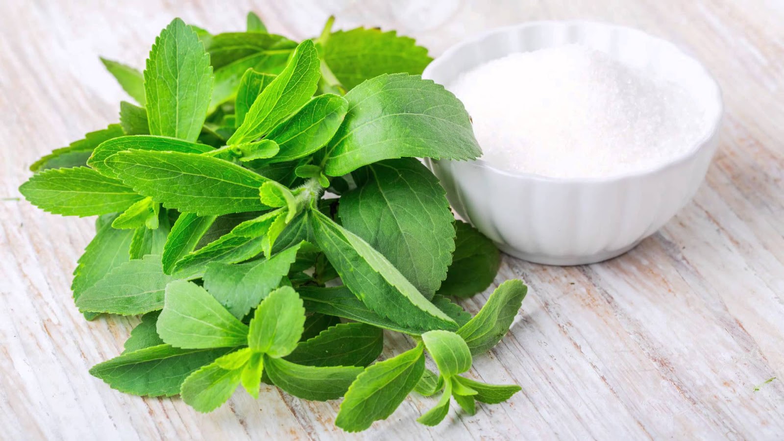 Apa itu Stevia? - Kebaikan Stevia