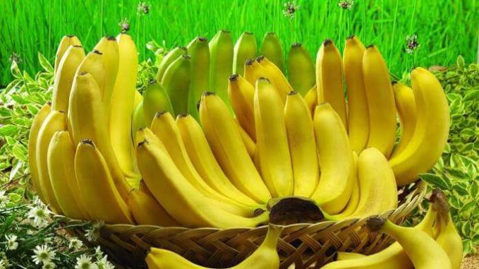22 Jenis Pisang Di Indonesia Beserta Gambarnya - Pecinta Buah