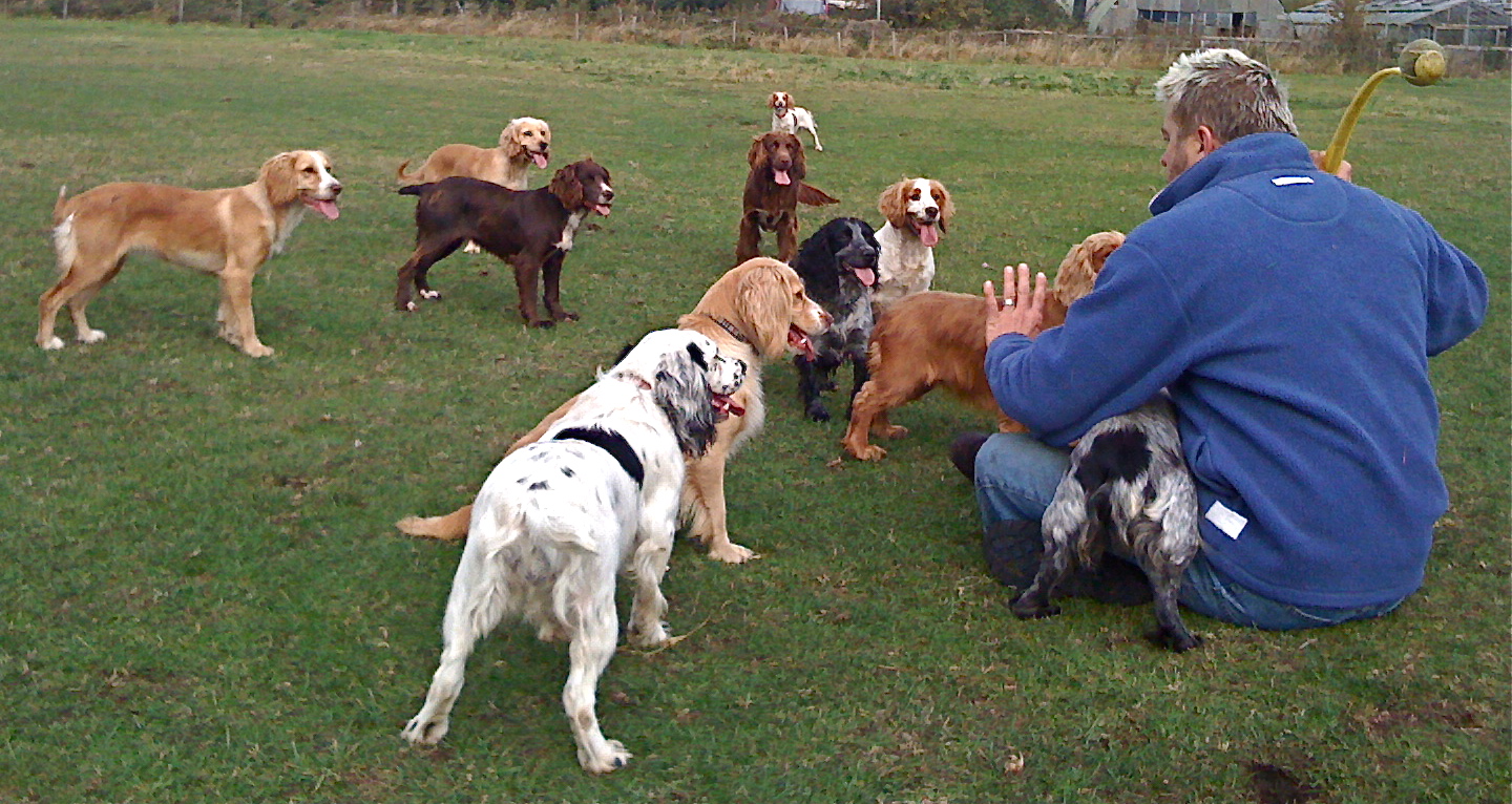 Jukee Doodles : Our Set-Up