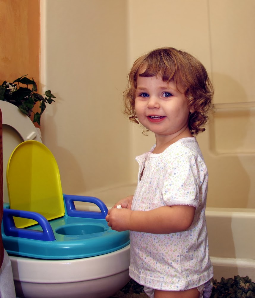 Kids Toilet Training: Things to Know About Potty Training Kids Toilet Training: Things to Know About Potty Training