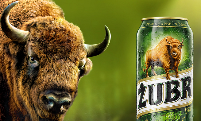 4de Bier Verhaal van November: Żubr - Polen