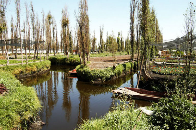 Saúde no Solo: Chinampas