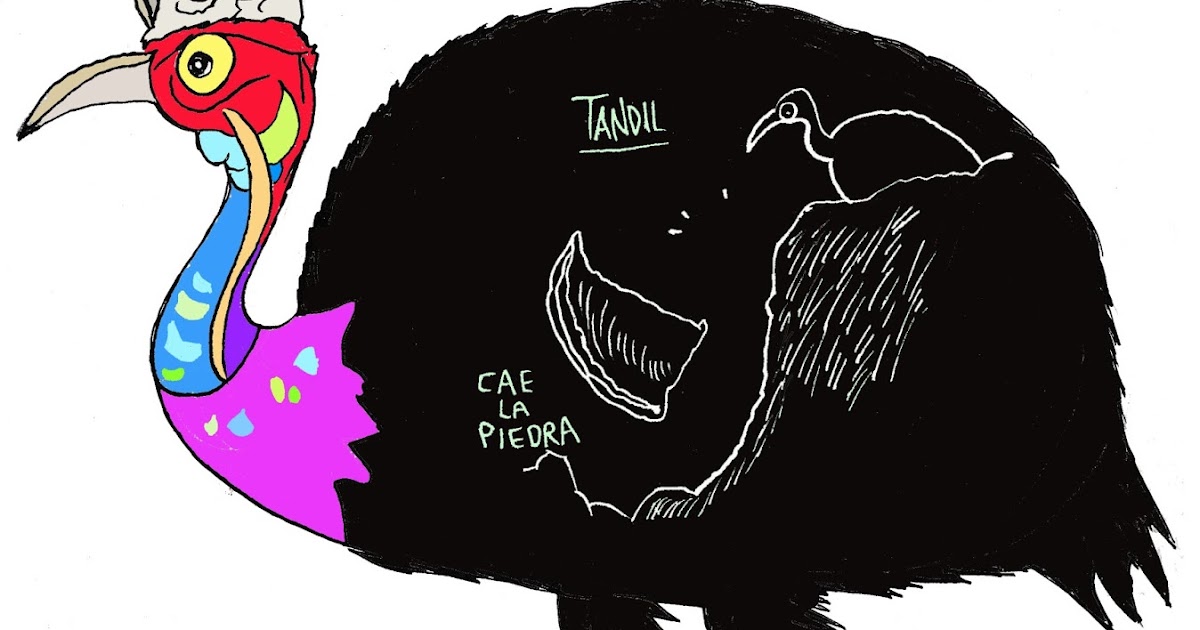 verano 12, cuento de patricia ratto