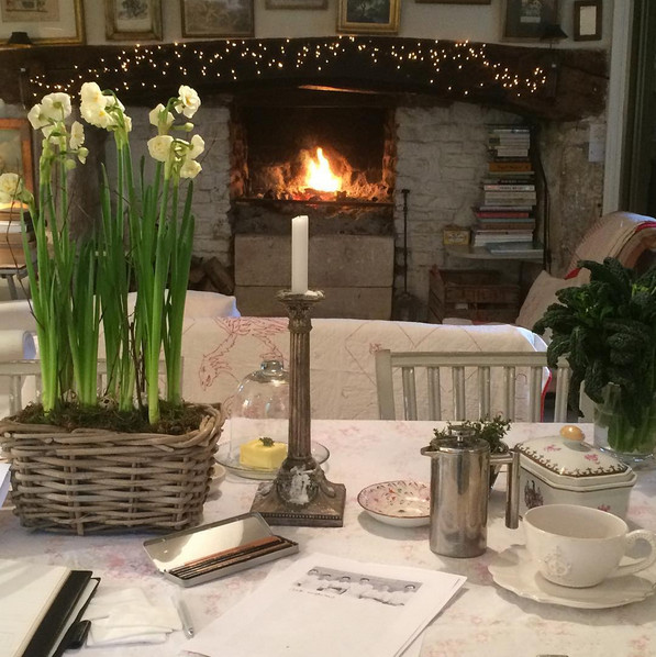 designers block: Cabbages and Roses Otherworldly Photography