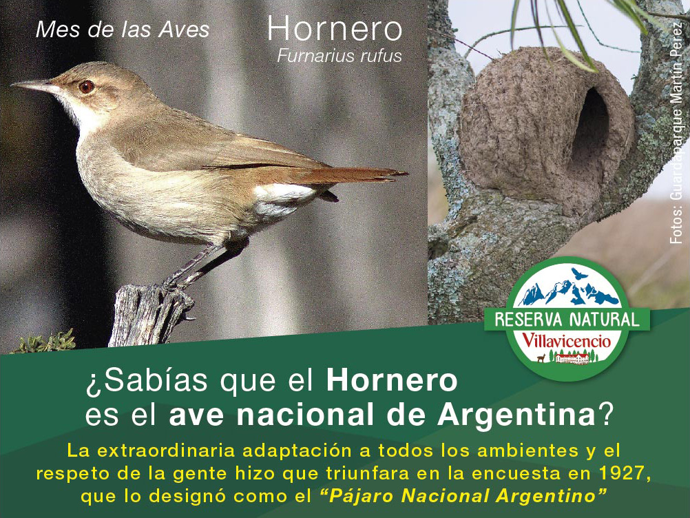 Reserva Natural Villavicencio: ¿Sabías que el Hornero es el Ave de la ...