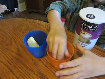 The Unlikely Homeschool: Ancient Egypt: Mummified Apple Experiment