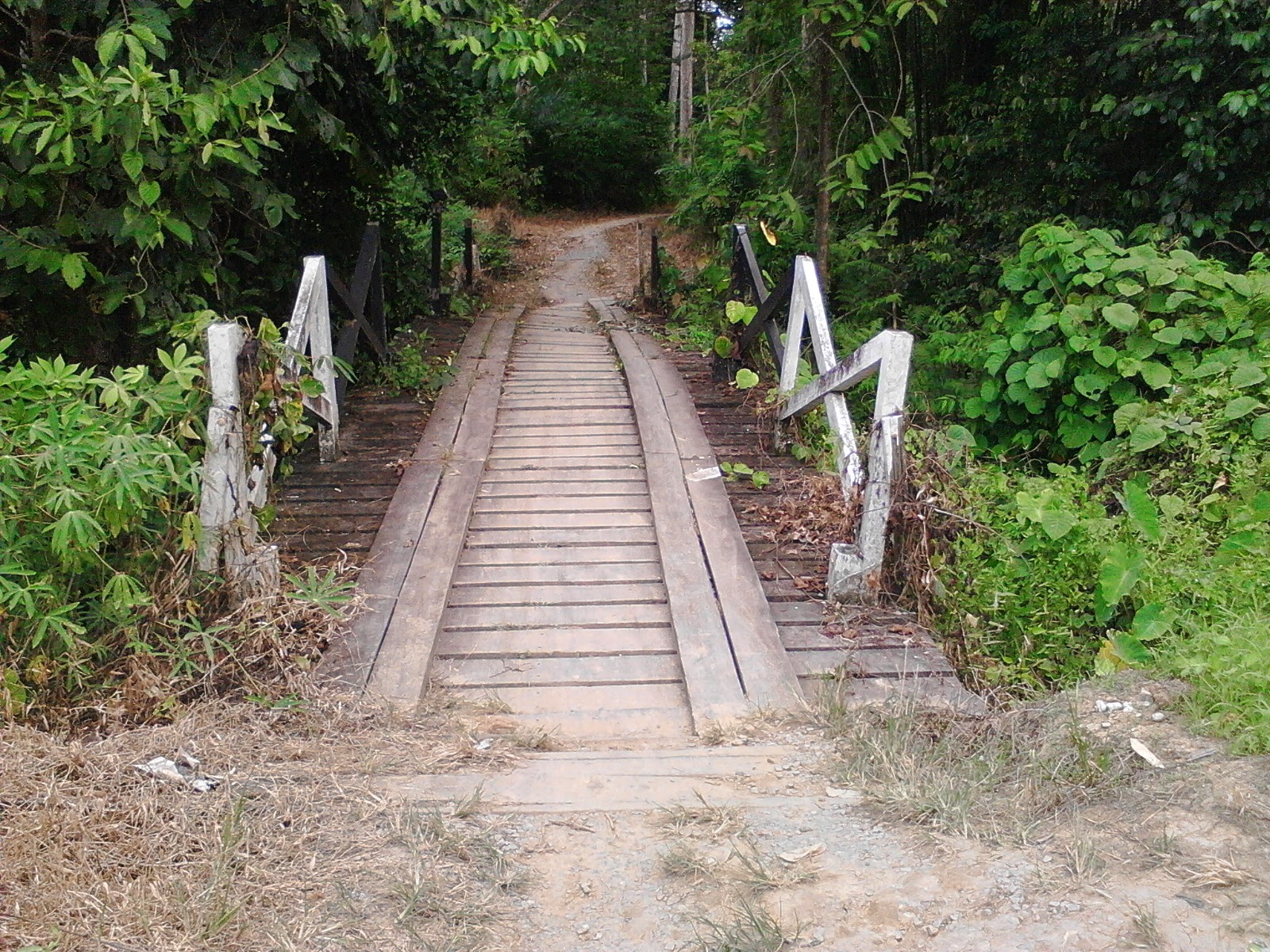 Persatuan Morek Long Banyok of Baram: Jambatan Kayu Sungai Lian Yang Rosak