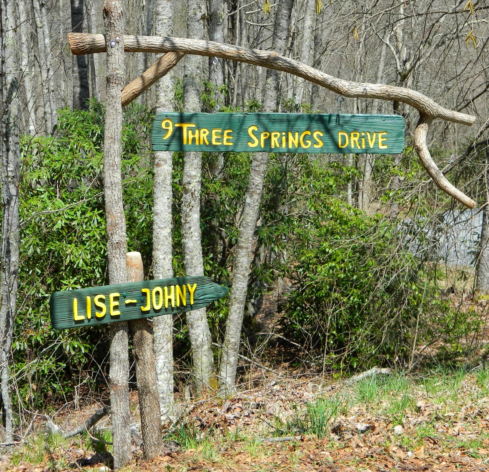 Lise's Log Cabin Life: Our Rustic Address Sign