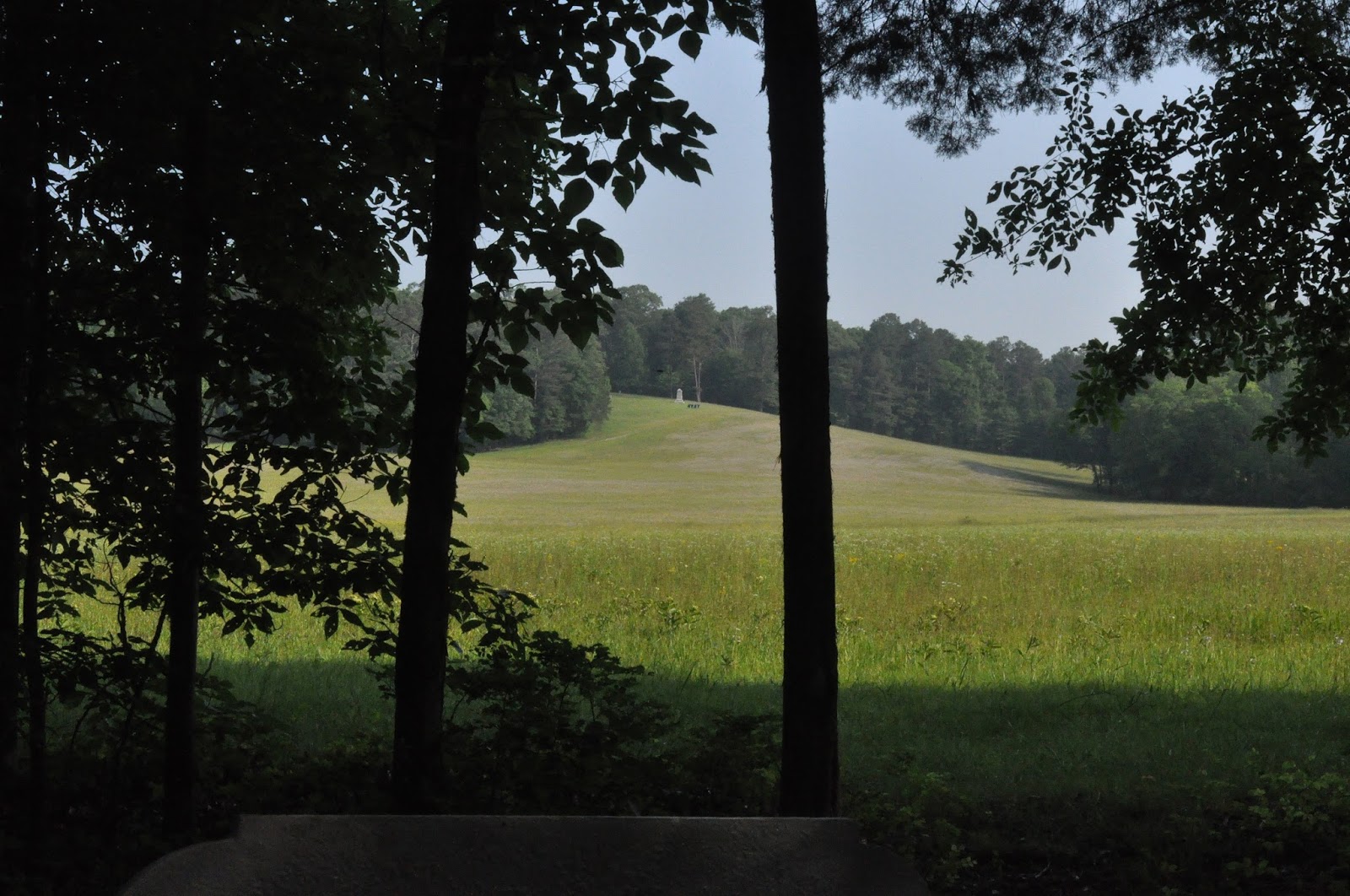 Speedyleeway: A Hood's eye view of Horseshoe Ridge