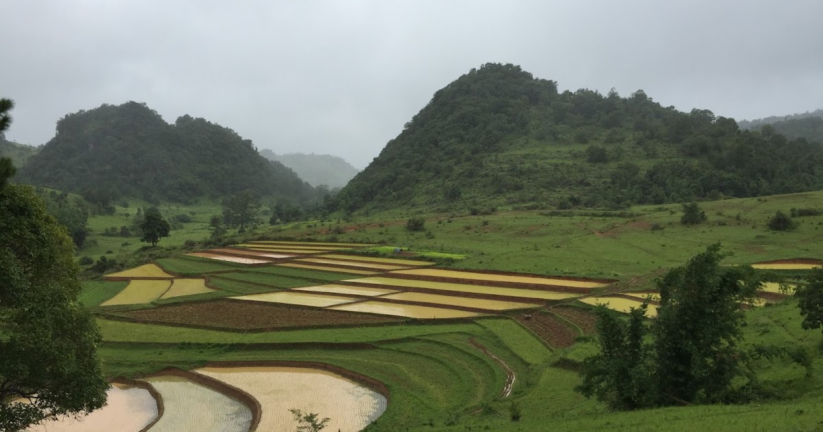 Travel Myanmar: Myanmar Climate, Forests and Wildlife