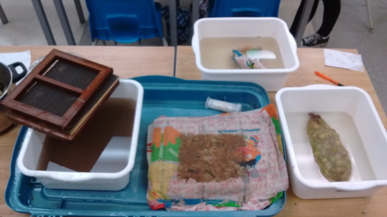 JOANNE RICH | Papermaker and artist