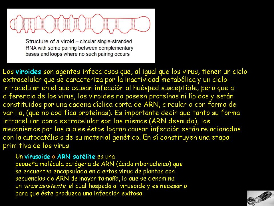 ...y la vida evolucionó: OTRAS PARTÍCULAS SUBVIRALES: VIROIDES ...