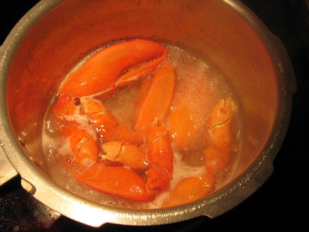 Fongpay's Universe: Lobster Claws