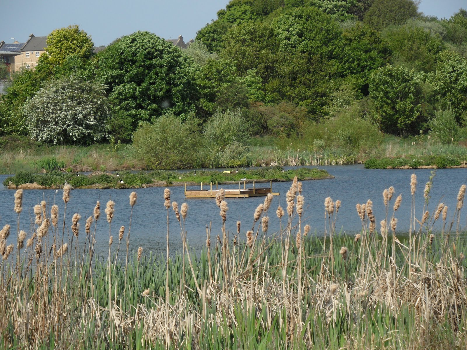 Dannysbirds: Yeadon Tarn & Rodley Nature Reserve