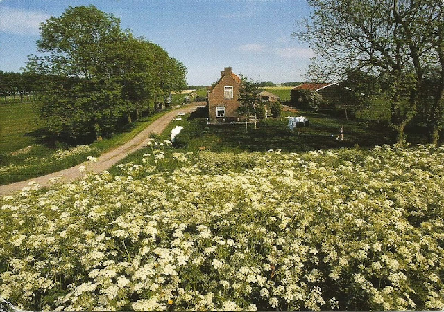 Postcards on My Wall: Droogmakerij de Beemster (Beemster Polder ...