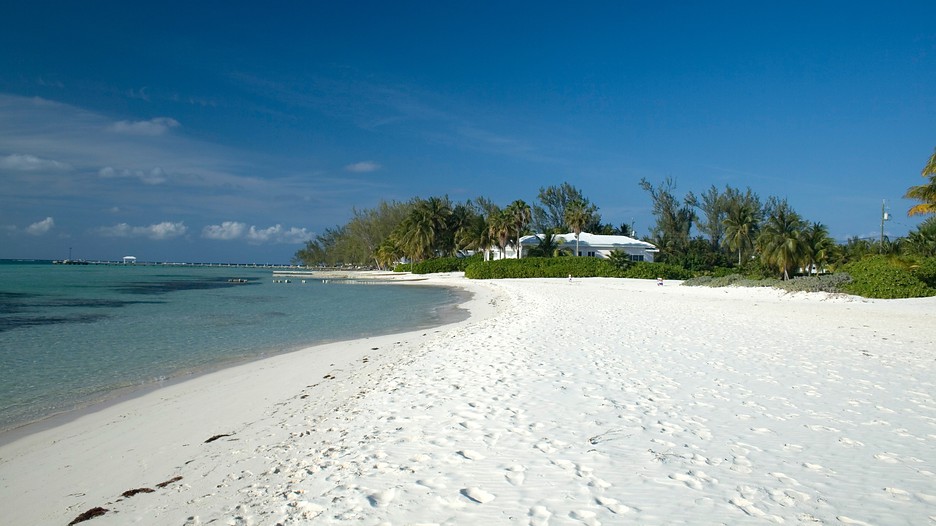Las Islas del Caribe: Las Islas Caimán