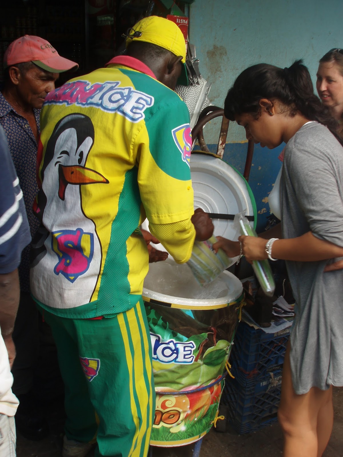 2013 Virginia 4-H - Dominican Republic Program