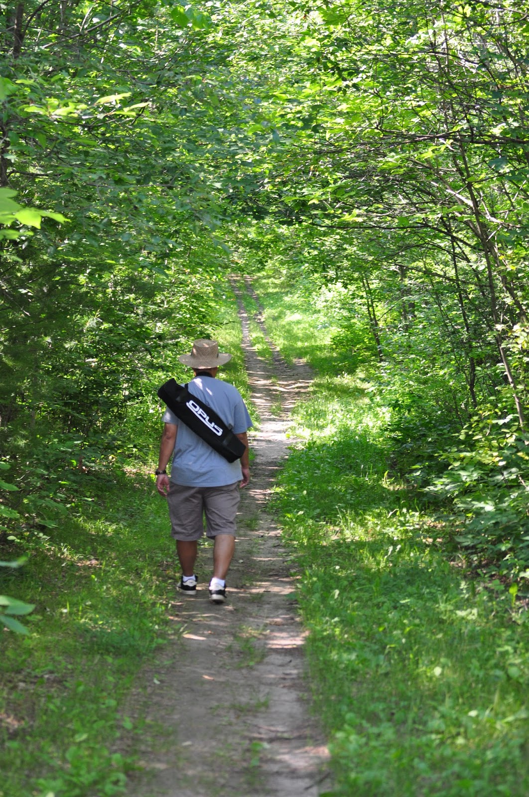 This Randomness: Long Sault Conservation Area