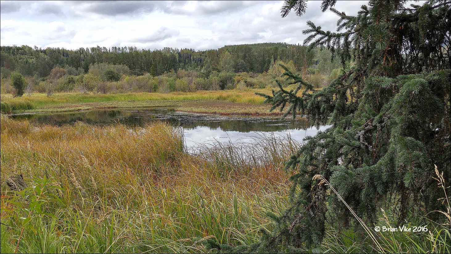 Northern Interior British Columbia: Topley Rest Area A Scenic Treasure ...