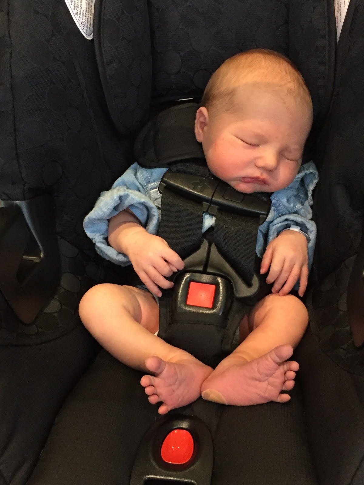 Life in the Barbie Dream House: Walker's Birth Story