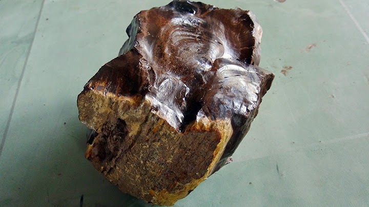 Batu Akik Fosil | BATU BANTEN CAKRA ALAM