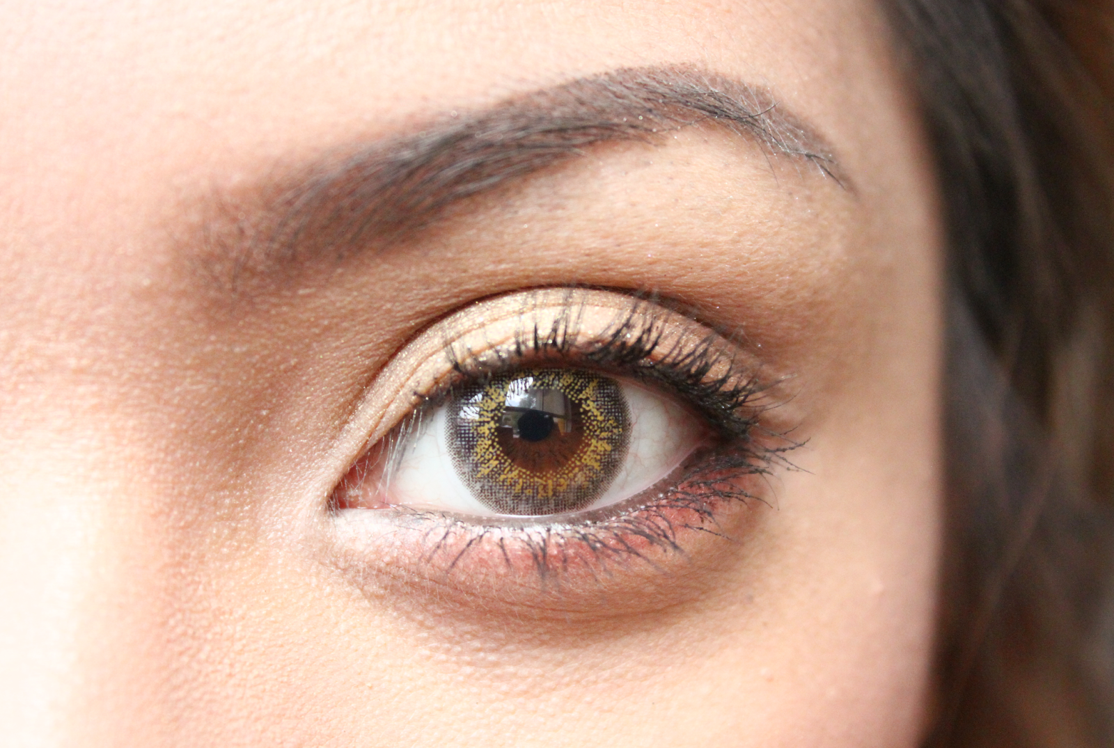 Review: Pinkicon Twinkle Eyes - Russian Gray - Simple Stylings